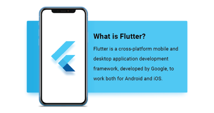 Flutter vs Ionic: Which Framework Wins in 2025?