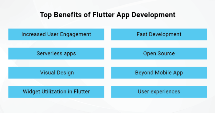 Everything You Need To Know About Flutter App Development