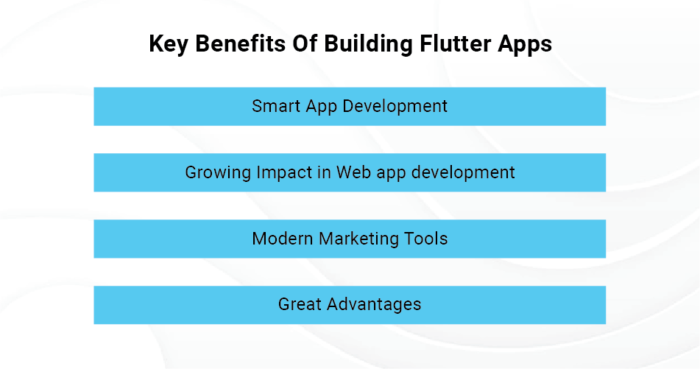 9 Reasons Why Flutter is the new Hue of mobile app?